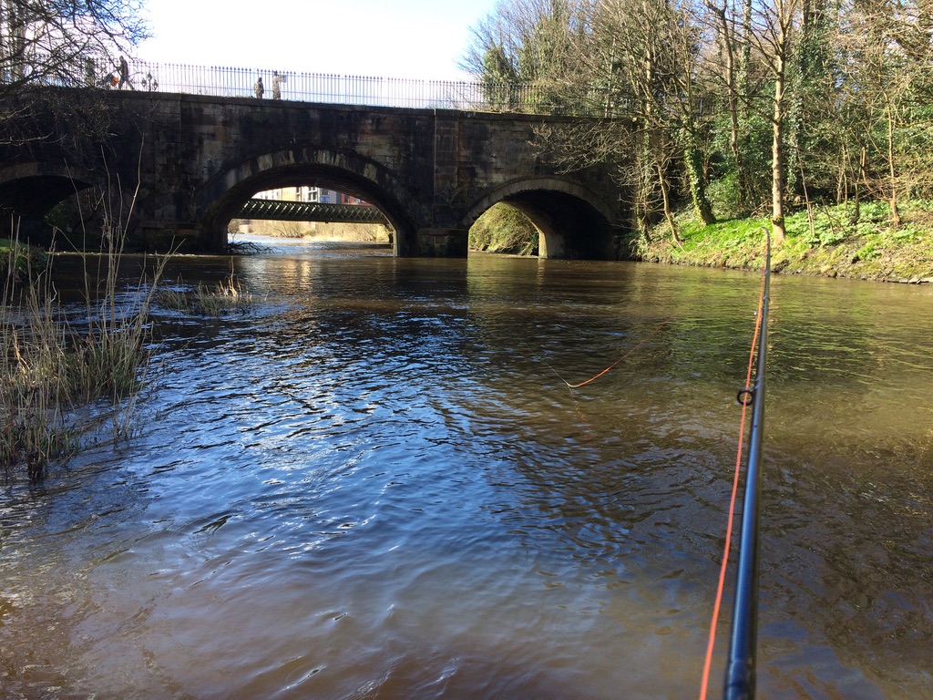 The River Kelvin showing its Bones – The Dogged Angler