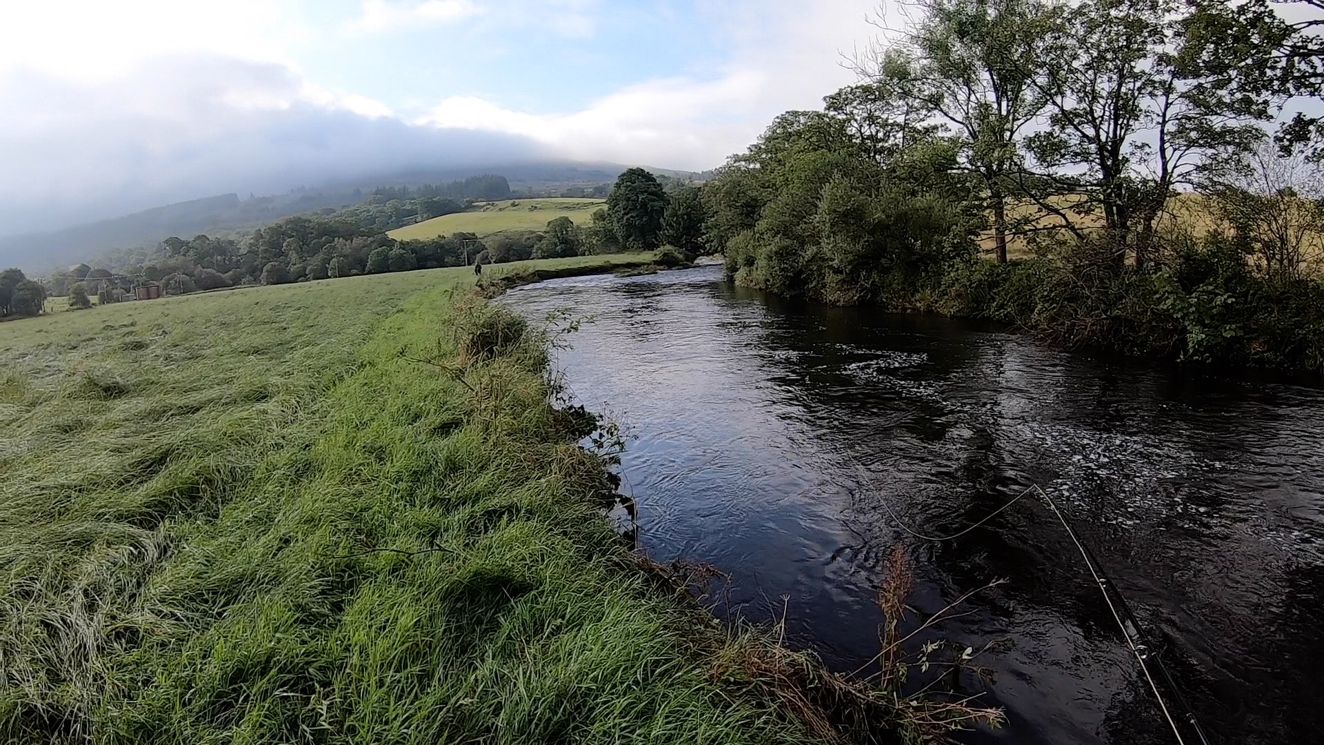 A Morning on The River Fruin – The Dogged Angler